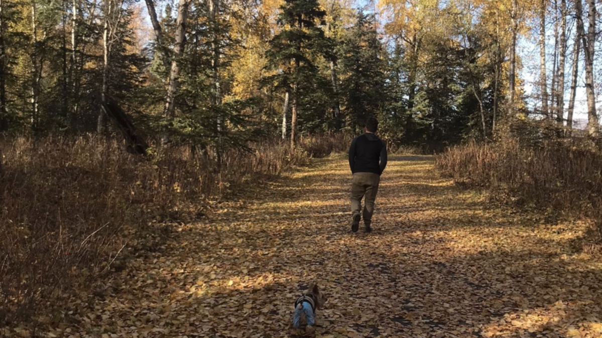 Wander A Paved Loop Trail In Alaska That The Whole Family Will Love