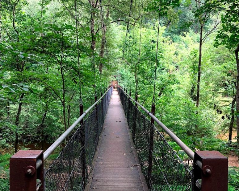 Explore A Secret Suspension Bridge In Lullwater Preserve In Georgia
