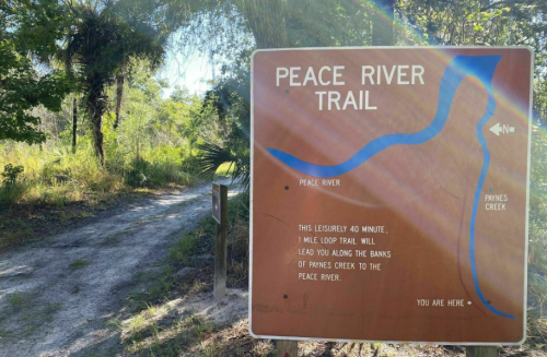 Hunt For Fossils On The Peace River Trail In Florida