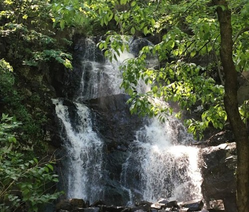 Best Place To See Leaves: Greenbrook Falls, New Jersey Waterfall