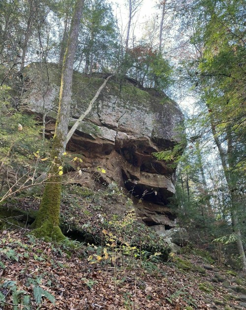 Natural Bridge Park Loop Is A Beautiful Bridge Hike In Alabama