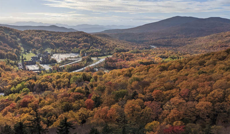 Deer Leap Trail Is A Gorgeous Forest Trail In Vermont