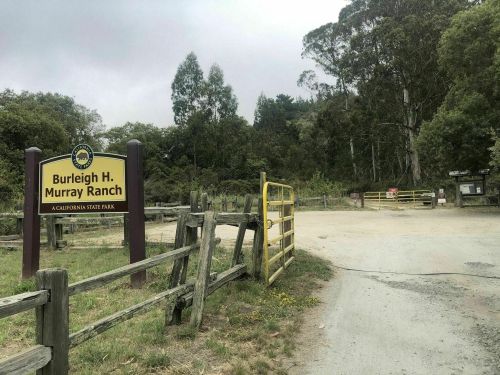 A Mysterious Woodland Trail In Northern California Will Take You To ...