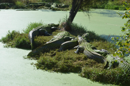 16 Day Trips In Mississippi That Are An Absolute Must-Do