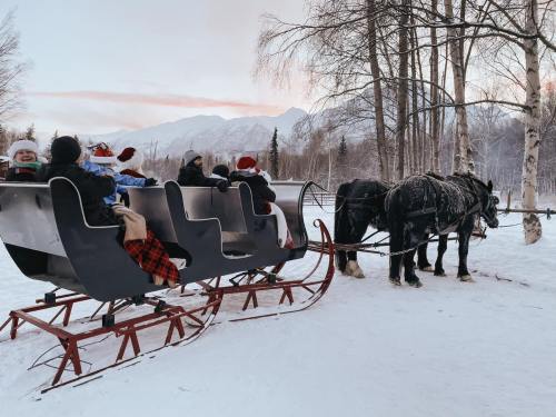 Take A Winter Horse Sleigh Ride In Alaska's Snowy Landscape