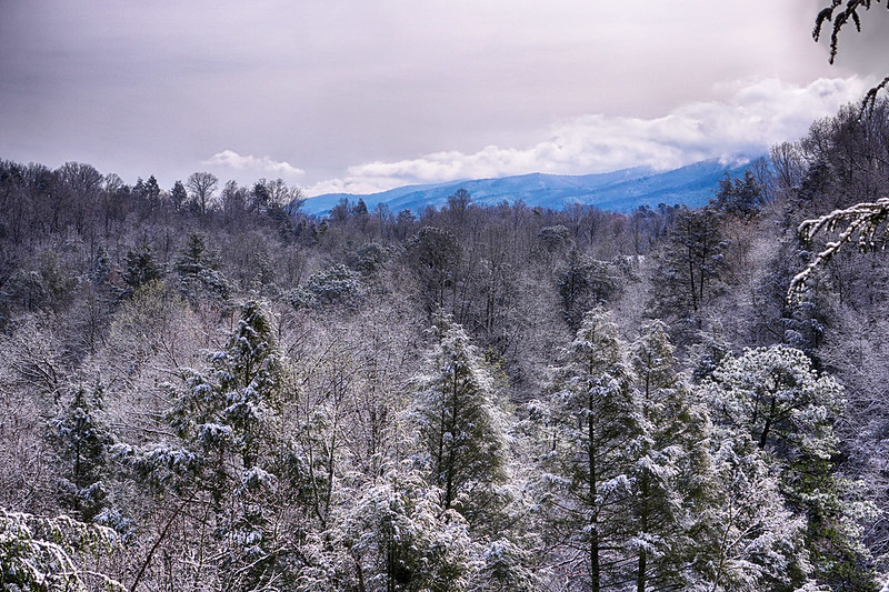 Take This 14-Mile Drive To Take In Magical Winter Views In Tennessee ...