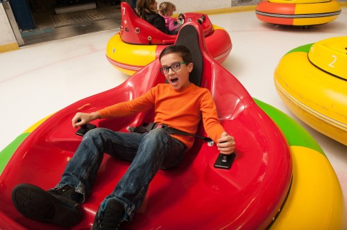 Ice Bumper Cars: Best Winter Activity In Washington