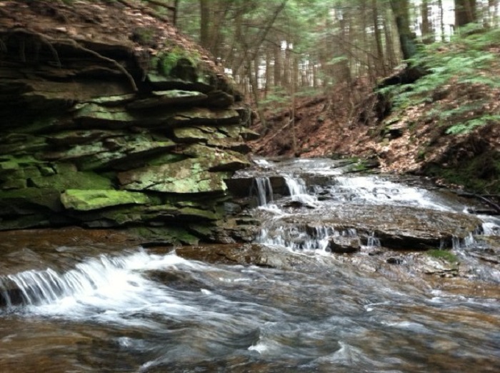 This Secluded Nature Reserve In Pittsburgh Is So Worthy Of An Adventure