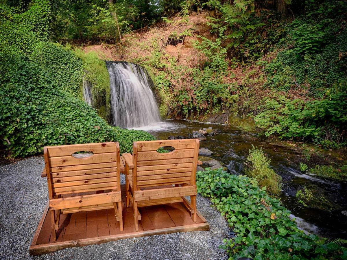 Charming Airbnb Cottage with Private Waterfall in Issaquah, WA