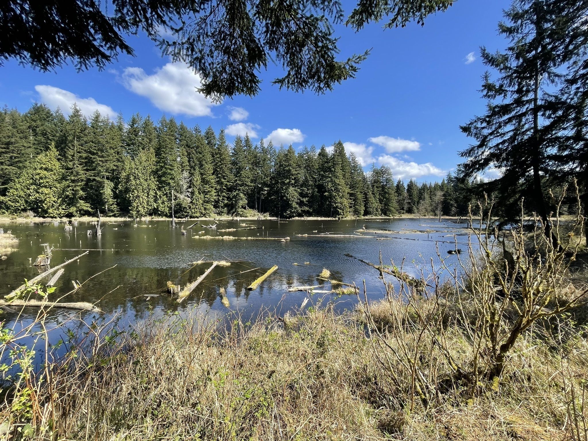 The Easy 2-Mile Beaver Lake Hike Trail Will Lead You Through The ...