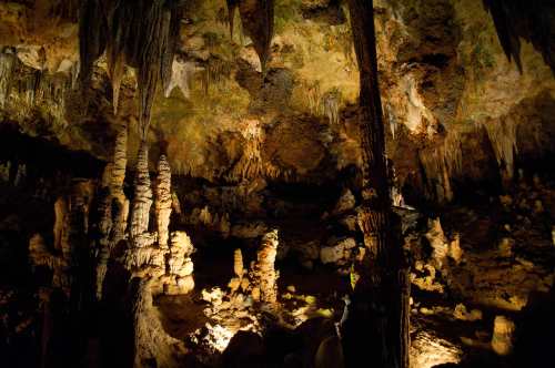 Best Caves In The U.S.: 19 Places For Underground Adventures