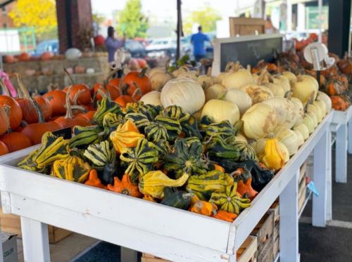 Gritt’s Farm In West Virginia Is Filled With Old-Fashioned Fun