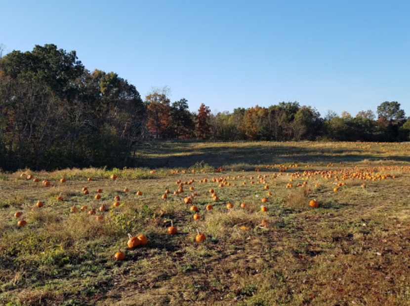 Gritt’s Farm In West Virginia Is Filled With Old-Fashioned Fun