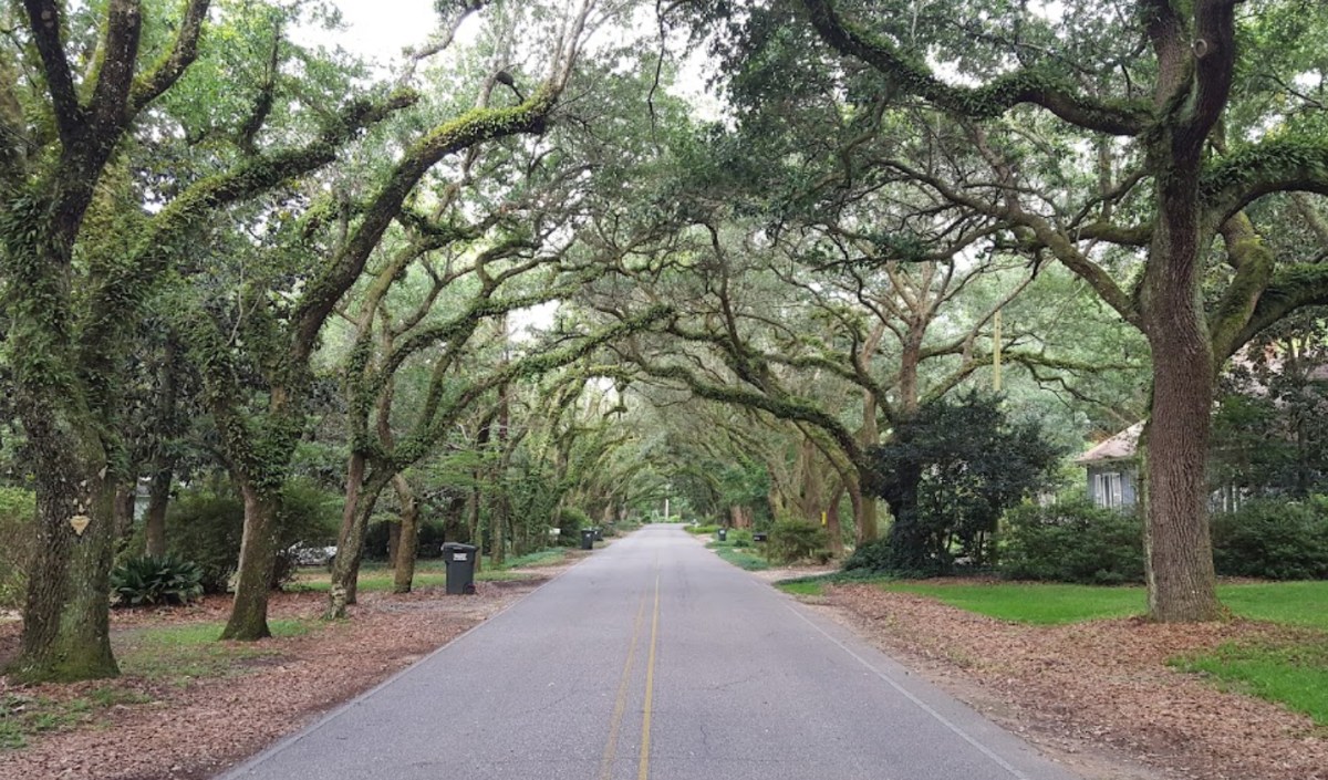 8 Things That'll Always Remind You Of Alabama