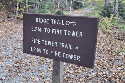 Take This Trail In Vermont To See Stunning Views And A Fire Tower Too