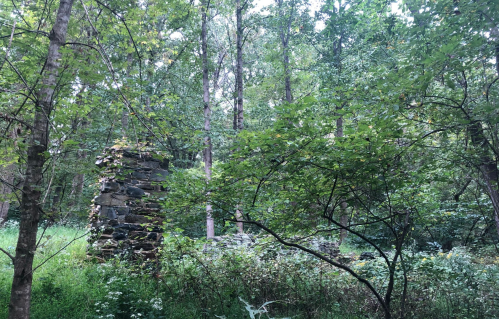 Hike The Matildaville Trail To A Little-Known Ghost Town In Virginia