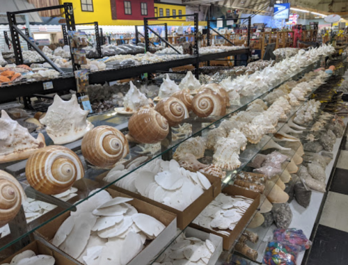 This Seashell Store In Florida Has More Than 5 Million Shells