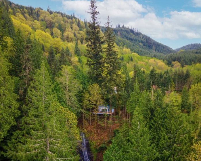 Luxurious Treehouse Airbnb in Bellingham with Private Waterfall