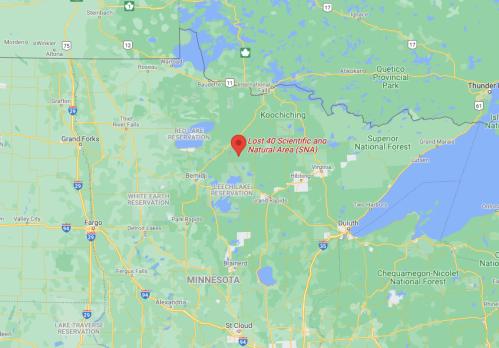 Most People Don’t Know About The Lost 40, Minnesota's Hidden Forest