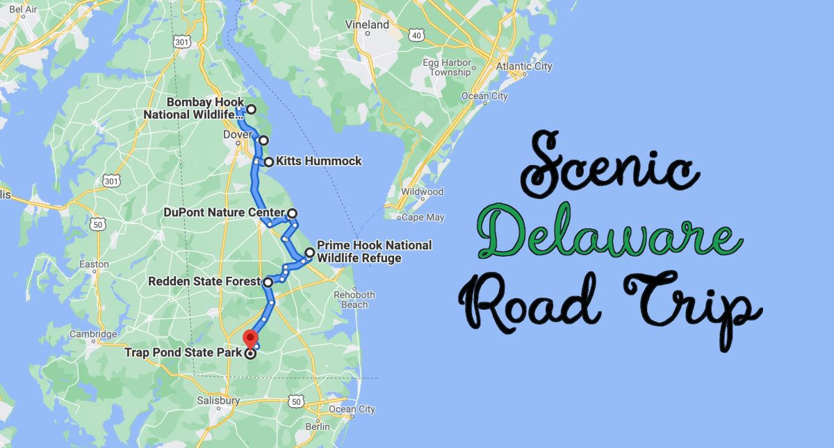 This 90 Mile Road Trip Through Delaware Is Perfect For Nature Lovers