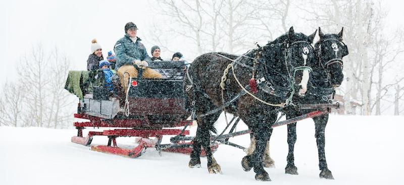 6 Horse-Drawn Sleigh Rides In Utah That Will Take You Through A Magical ...
