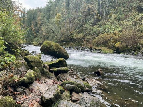 Franklin Ghost Town Trail In Washington: Walk Around History