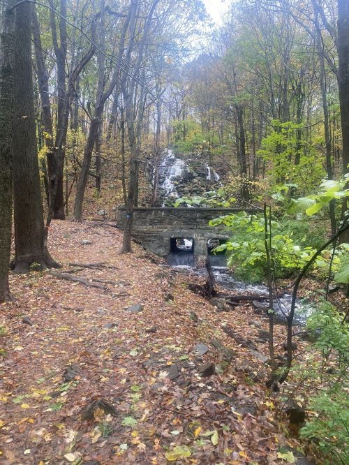 Cascade Falls Loop Trail Is A Waterfall Hike In Massachusetts