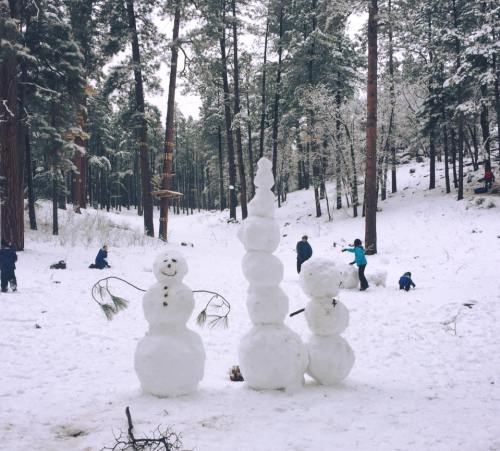 You Can Go Snow Tubing In Flagstaff At This Arizona Snow Park