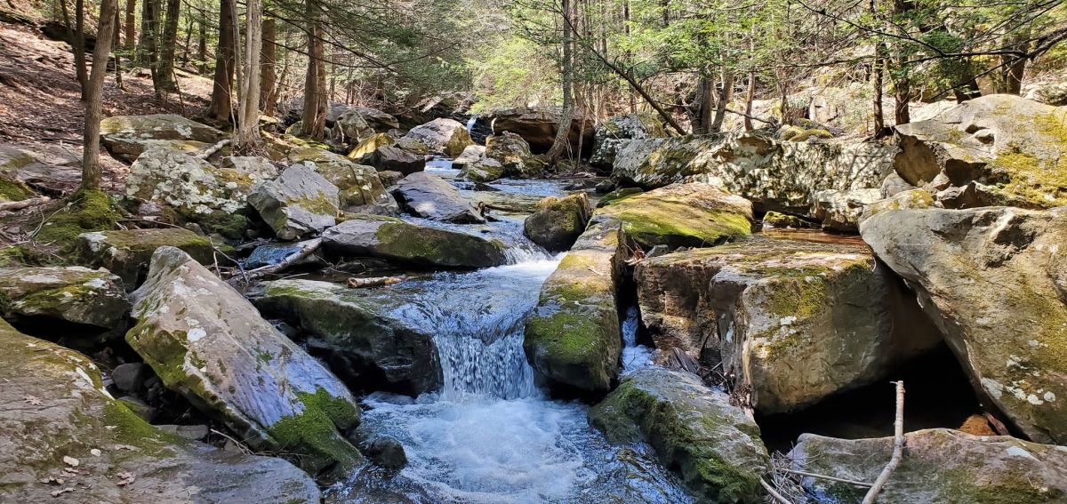 Audubon Loop Trail In Pennsylvania Will Lead You Straight To A Waterfall
