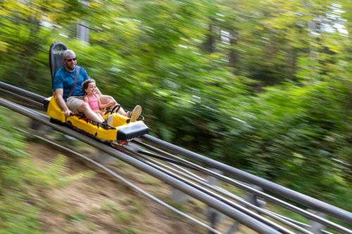 Ride The Mountain Coaster Found At Wisp Resort In Maryland