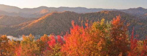 The Things To Do In Washington, Virginia Make A Perfect Day Trip