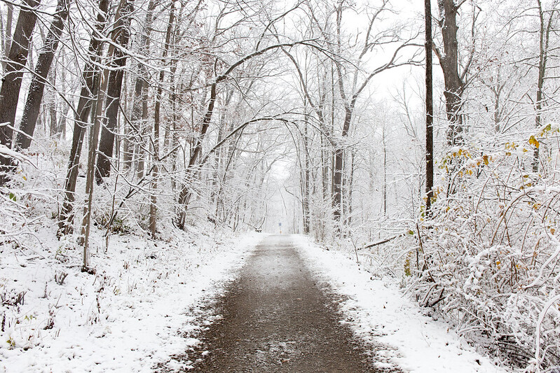 A Winter Wonderland Awaits When You Explore Your Own Backyard In ...