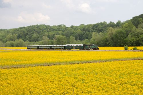 The French Lick Railway Offers Scenic Train Rides In Indiana