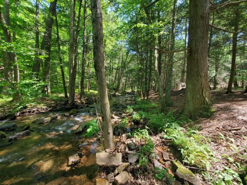 Audubon Loop Trail In Pennsylvania Will Lead You Straight To A Waterfall