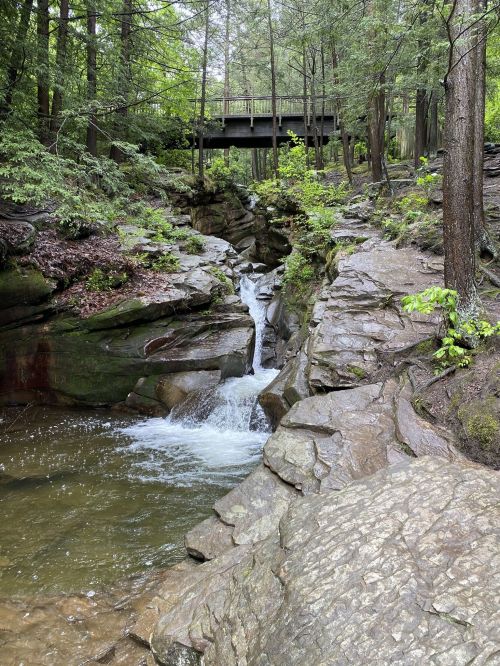 Audubon Loop Trail In Pennsylvania Will Lead You Straight To A Waterfall