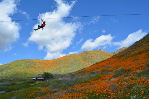 Take A Ride On The Most Thrilling Zipline In Southern California At ...