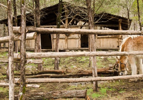 This Abandoned Ozark Medieval Fortress In Arkansas Is Eerie