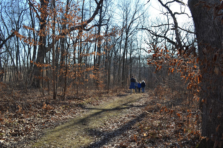 Visit Cedar Bluffs Nature Area In Iowa For A Winter Hike With Big Views