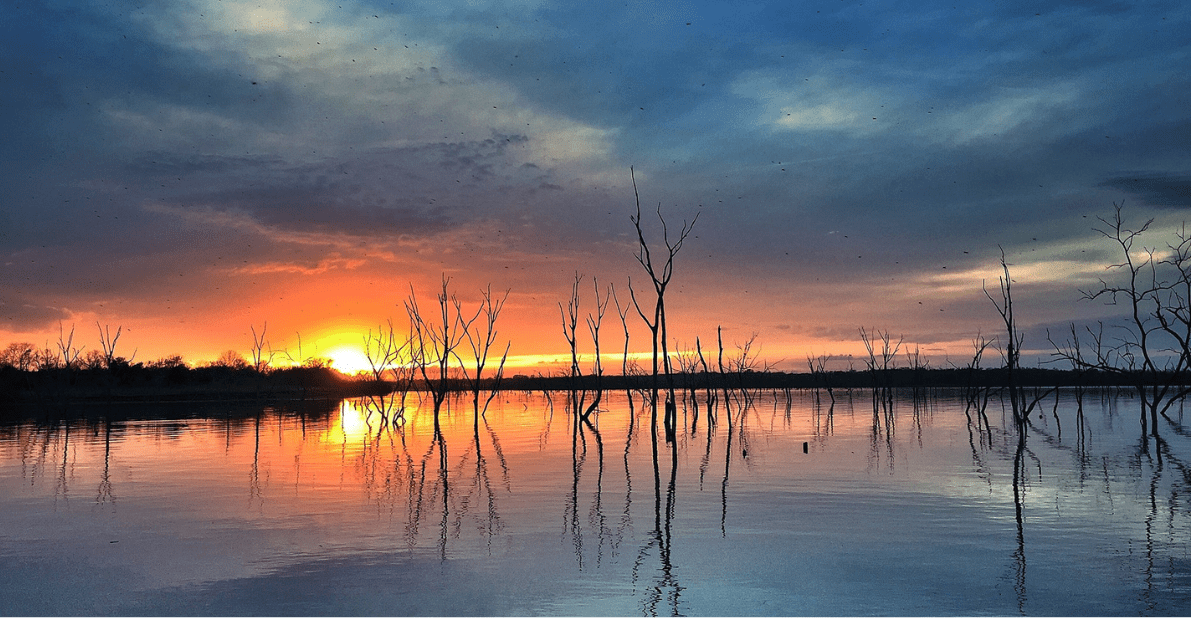 7 Best State Parks Near Me In Kansas City To Visit This Year