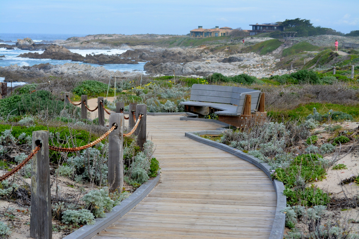 Asilomar Beach Boardwalk In Northern California Leads To Scenic Views