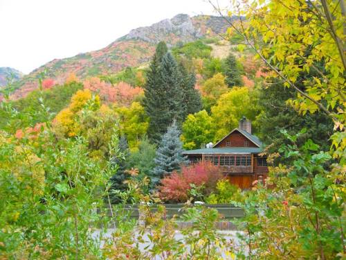 12 Bucket-List-Worthy Restaurants In Utah You Need To Try