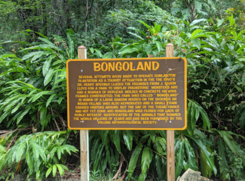 Come Explore The Dinosaur Bongoland Ruins In Florida