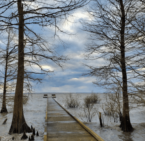Lake Phelps Just Might Be The Most Beautiful Lake In North Carolina