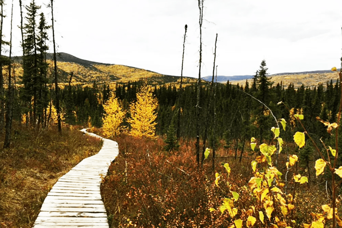 This Beautiful Trail Leads You Right to an Amazing Hot Spring in Alaska