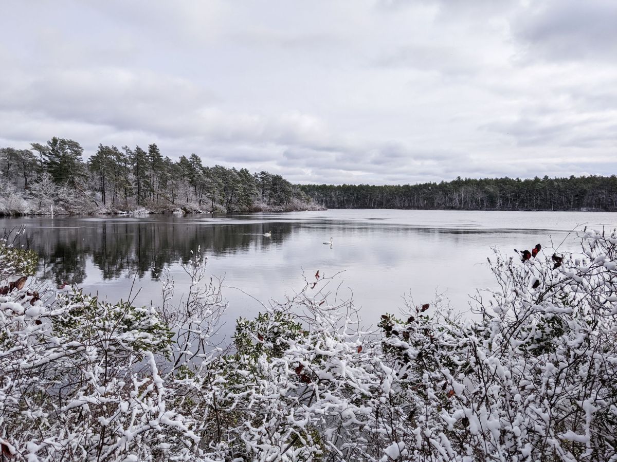 East Head Pond Trail Is Perfect For Winter Hiking In Massachusetts