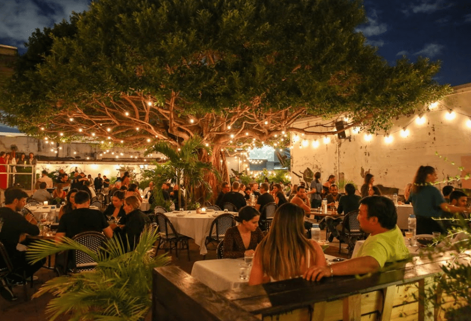 Dine Under A Gargantuan Tree At Sunny’s Steakhouse In Florida