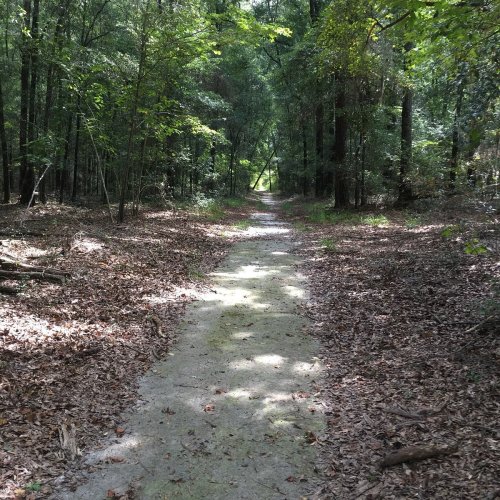 Hike The Trails At Magnolia Springs State Park In Georgia