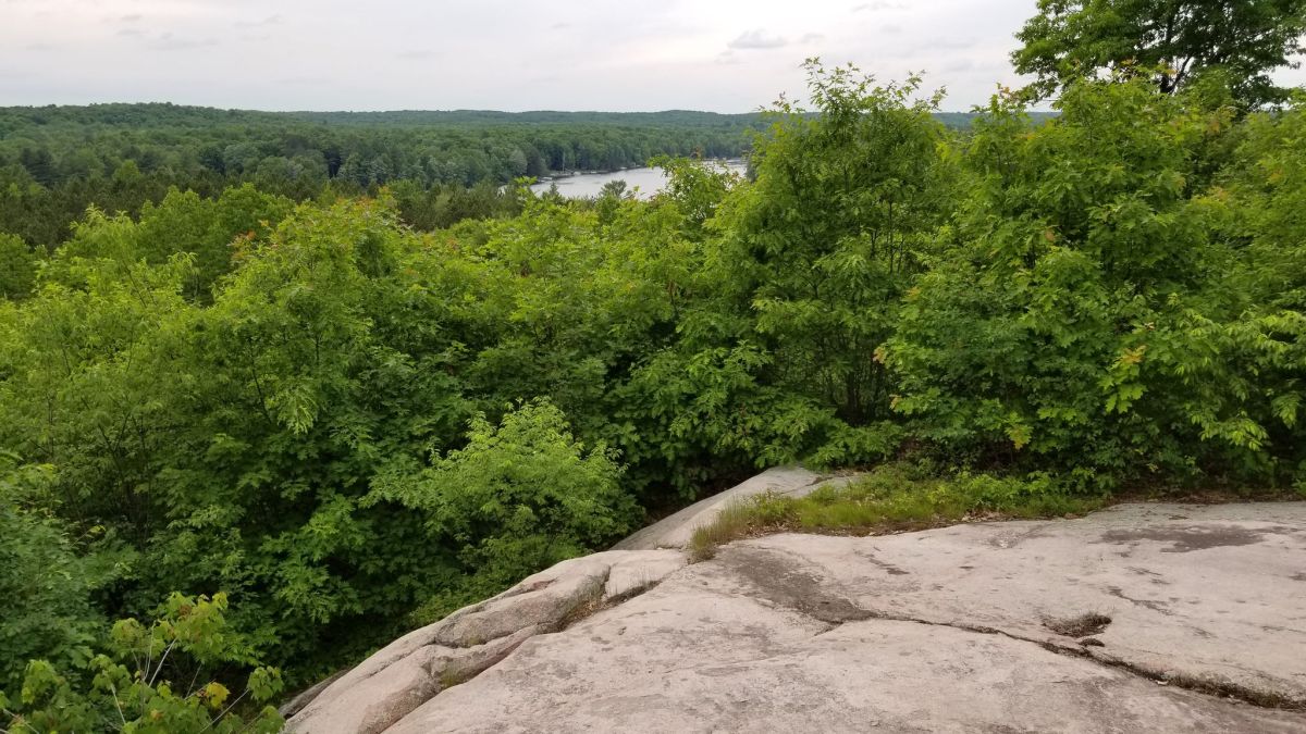 Climb To A Wisconsin Overlook That’s Like The Summit of a Mountain