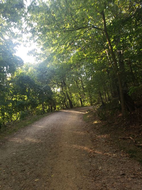 Schenley Park Double Loop Trail: Best Loop Trail In Pittsburgh