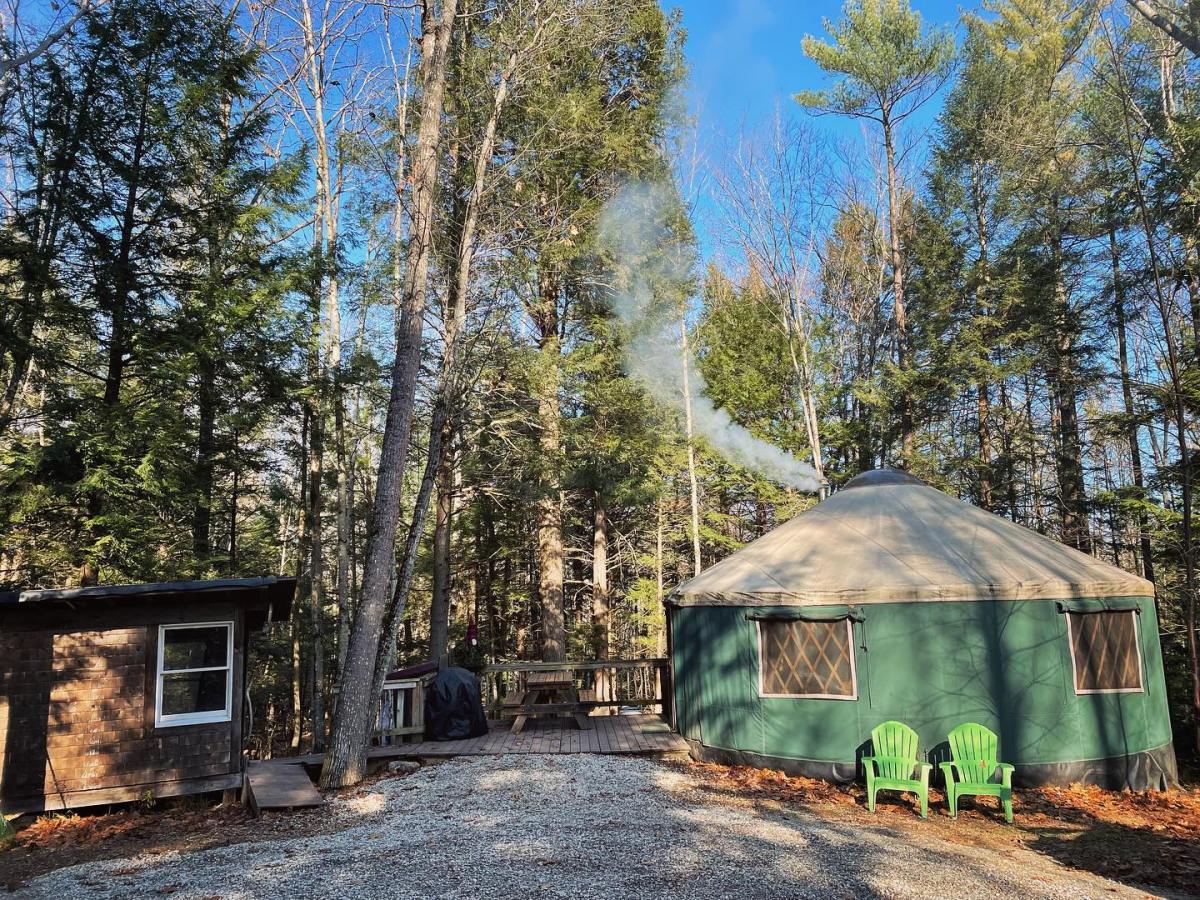 Experience Nature at Maine Forest Yurts